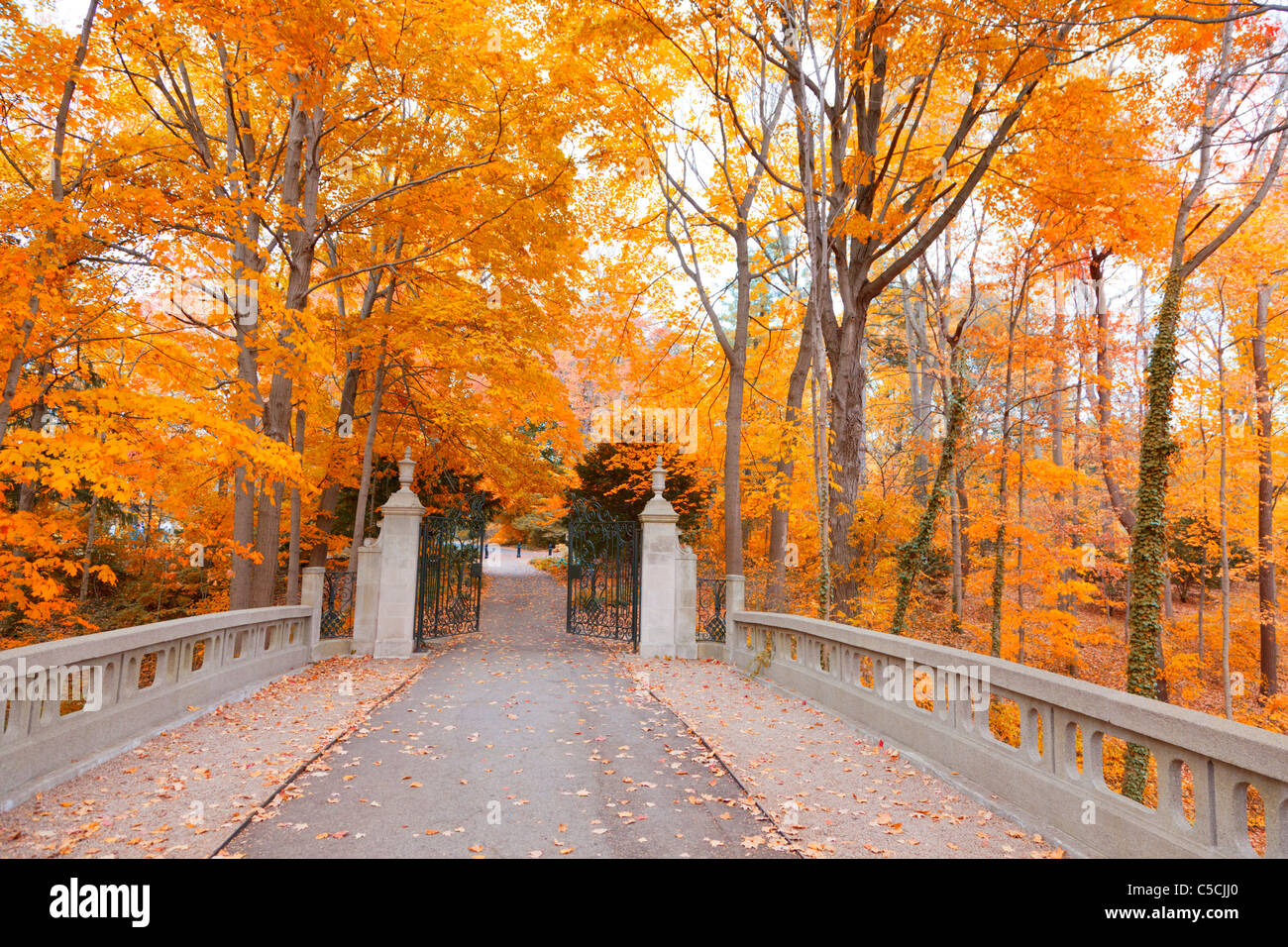 Park in the fall Stock Photo - Alamy