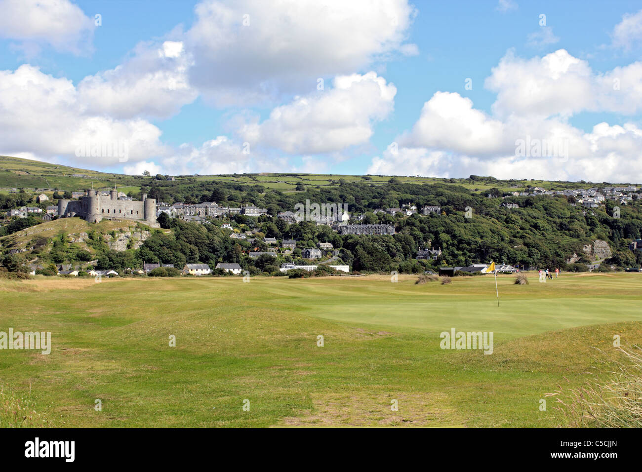 St davids flag hi-res stock photography and images - Alamy