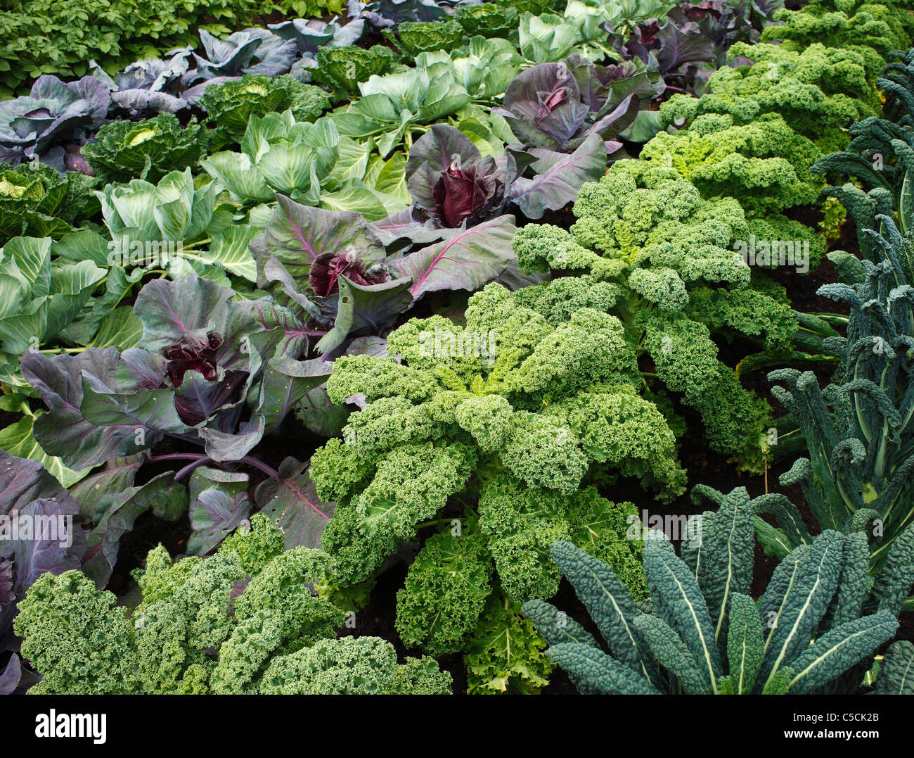 The plot hi-res stock photography and images - Alamy
