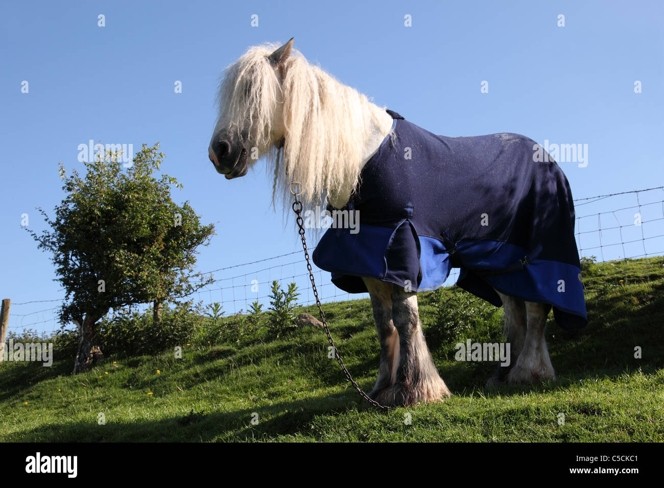 Appleby Horse Fair, Appleby-In-Westmorland, Cumbria, England, U.K Stock ...