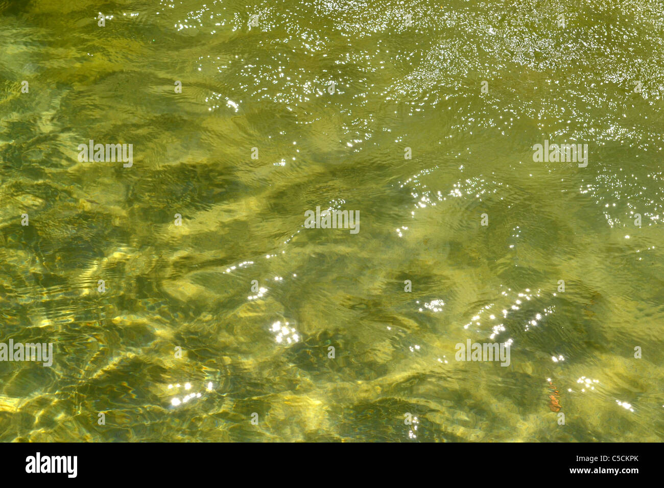 A abstract view of water in a dirty pool Stock Photo - Alamy