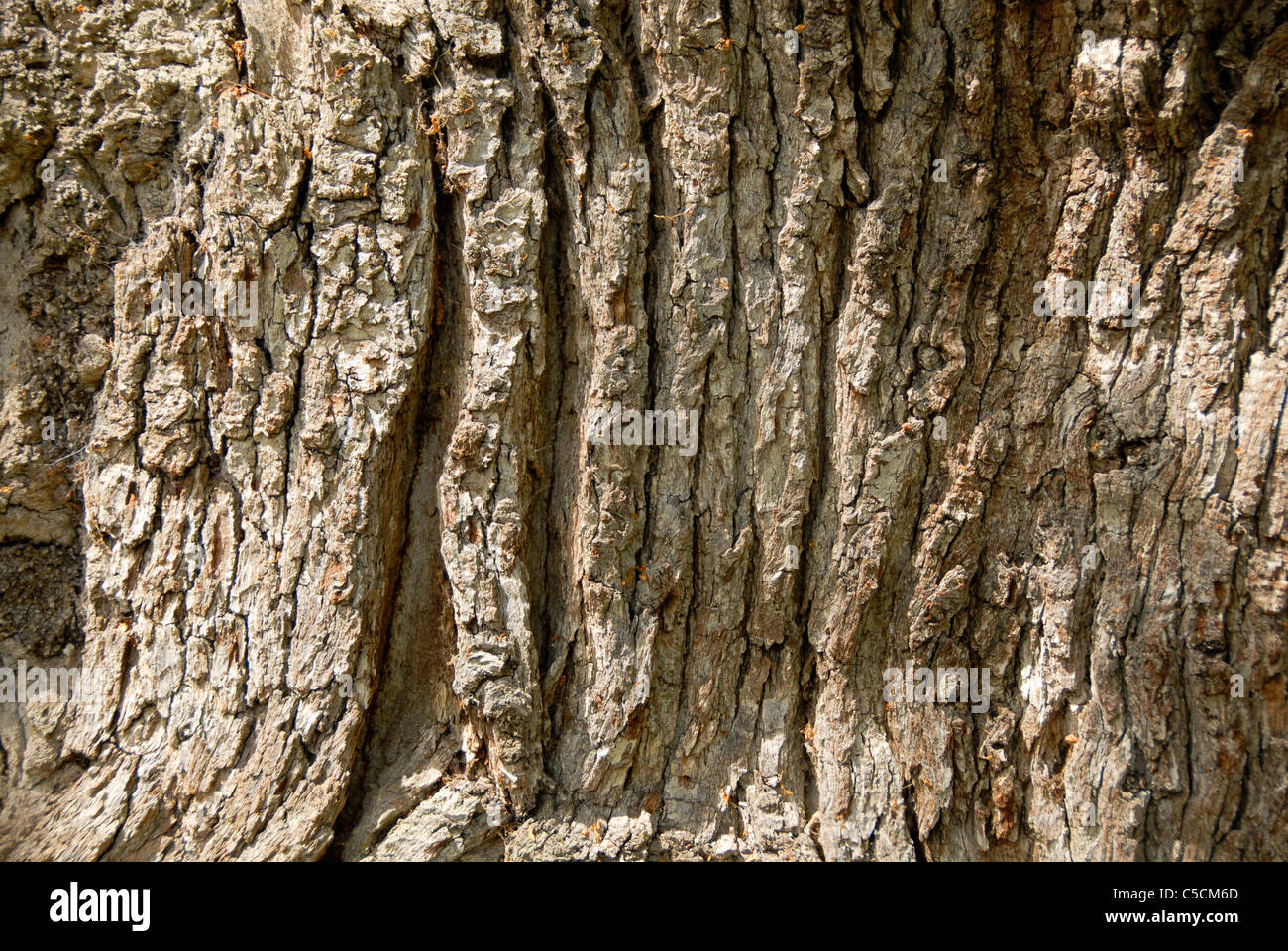 Lomg standing hi-res stock photography and images - Alamy