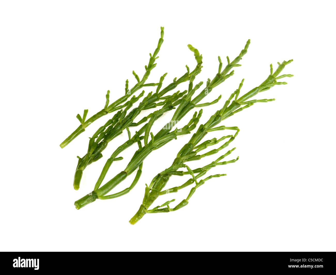 Fresh samphire hi-res stock photography and images - Alamy