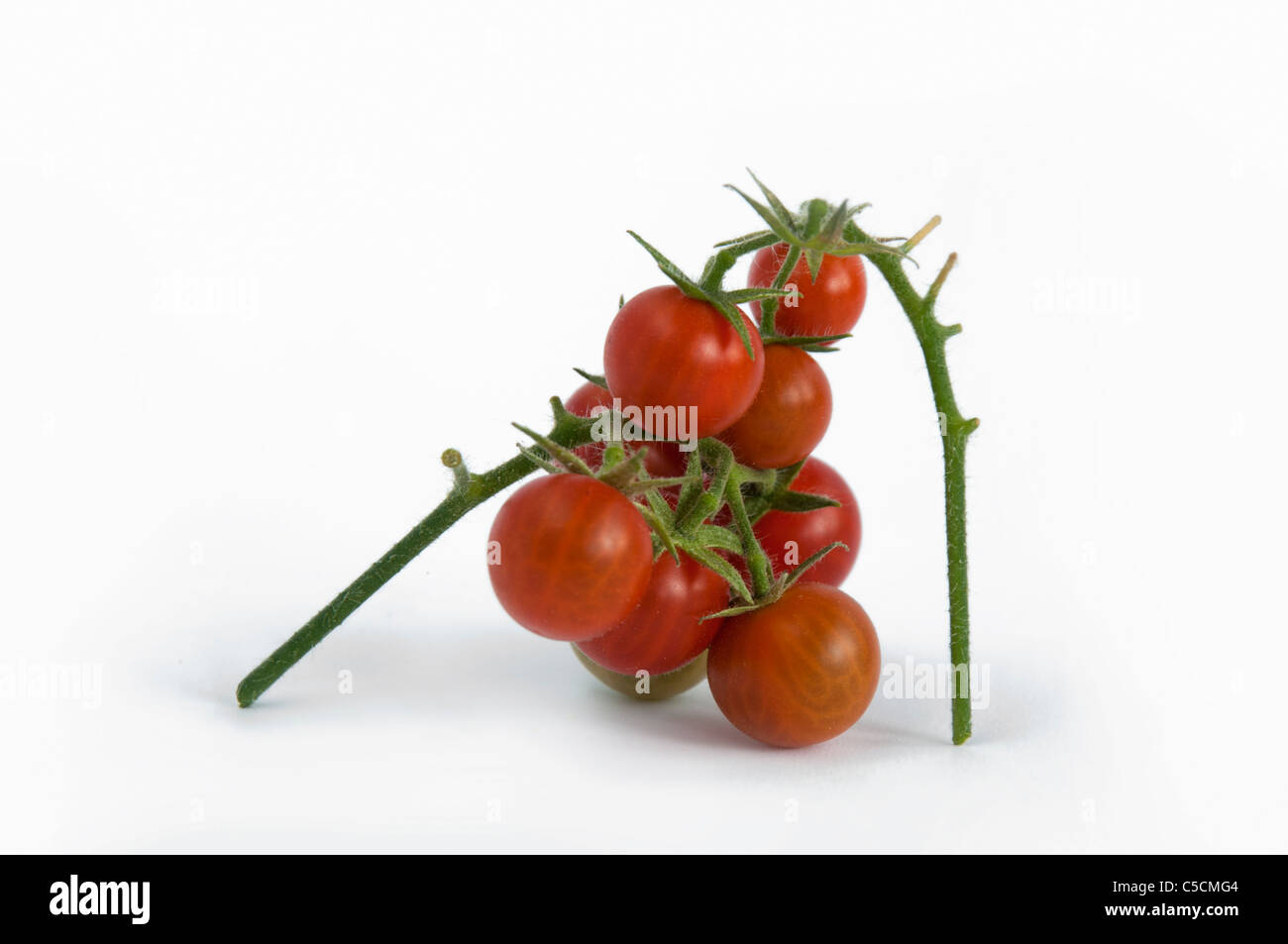 Cherry tomatoes with stem isolated on white Stock Photo - Alamy