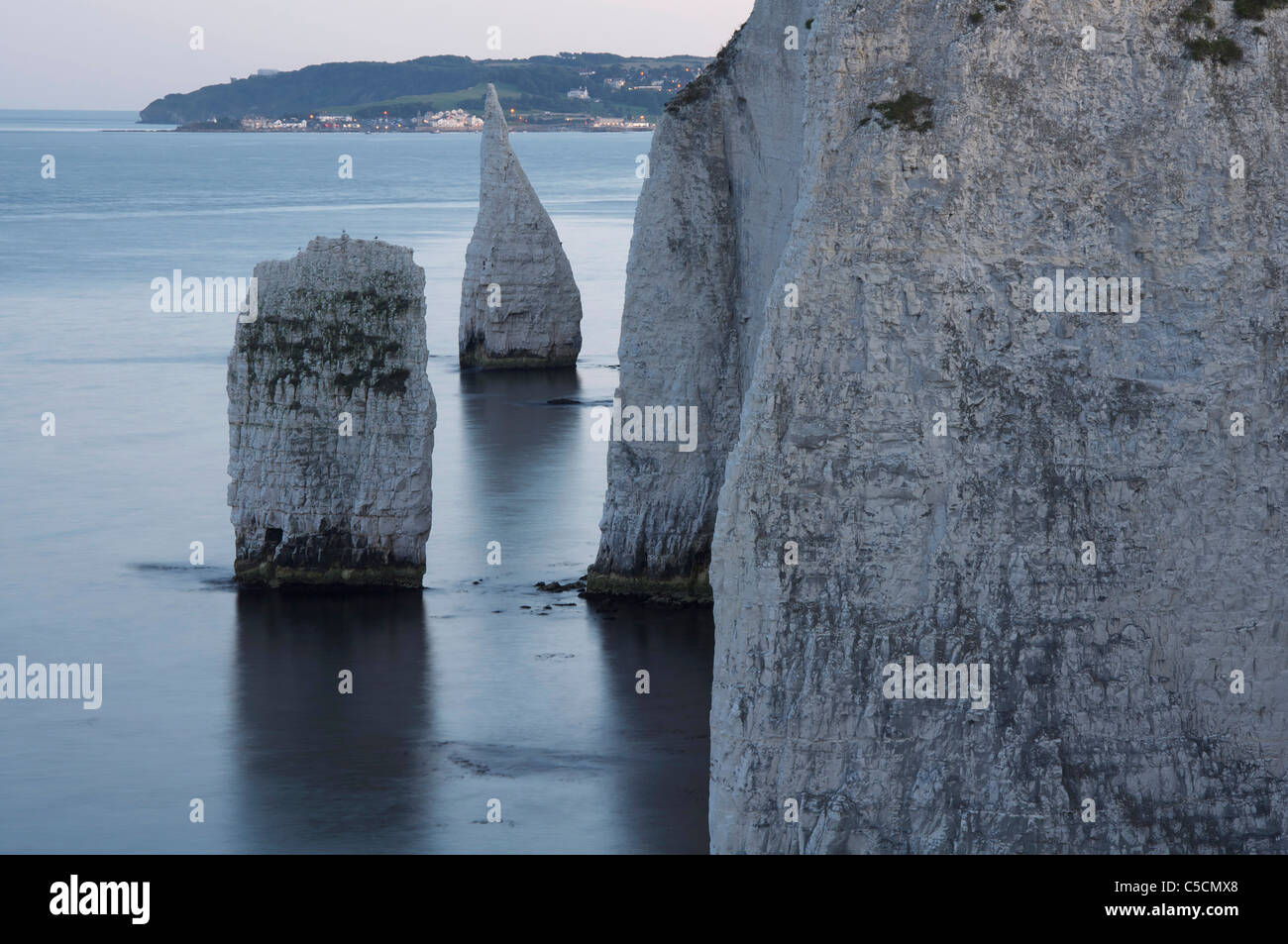 The Pinnacles, a group of chalk stacks standing in the sea off the ...
