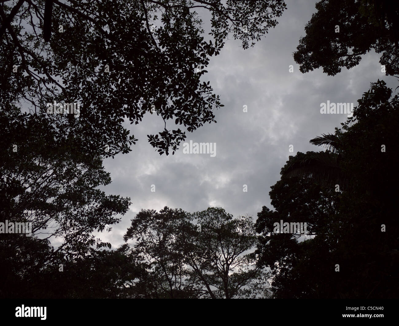 Isla Bastimentos Panama Stock Photo - Alamy