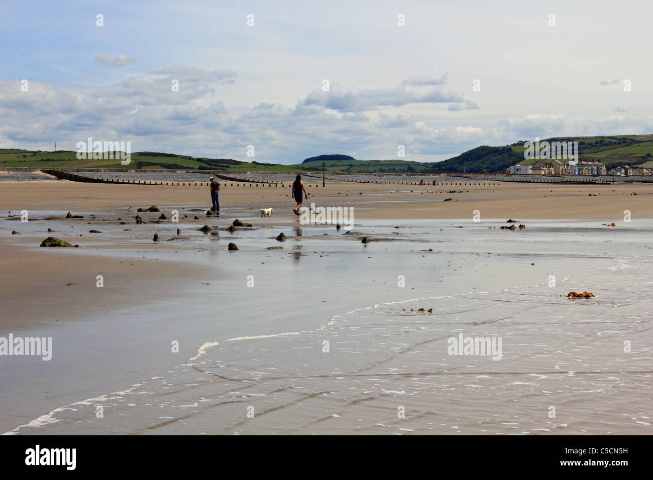 Borth forest hi-res stock photography and images - Alamy