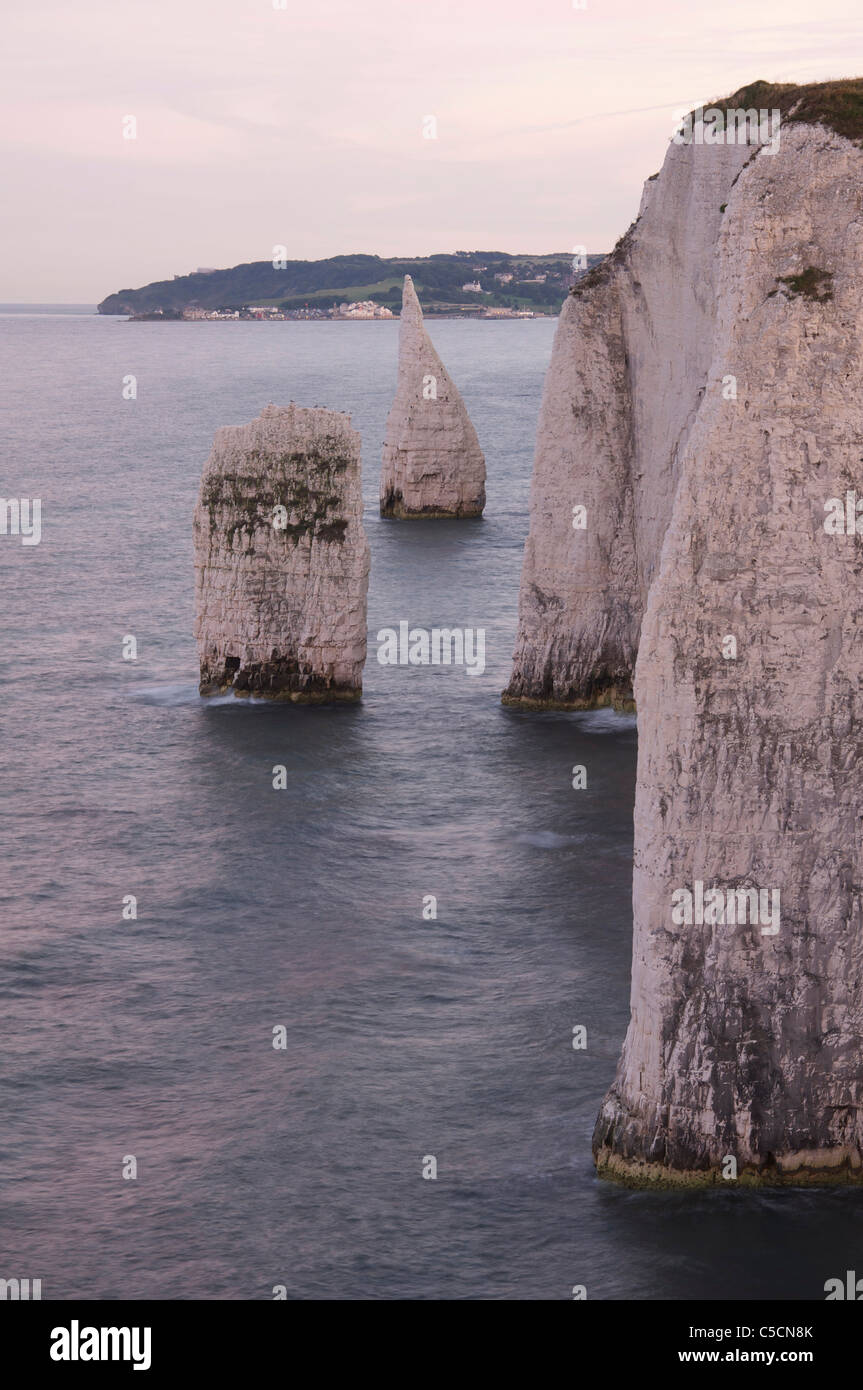 The Pinnacles, a group of chalk stacks standing in the sea off the ...