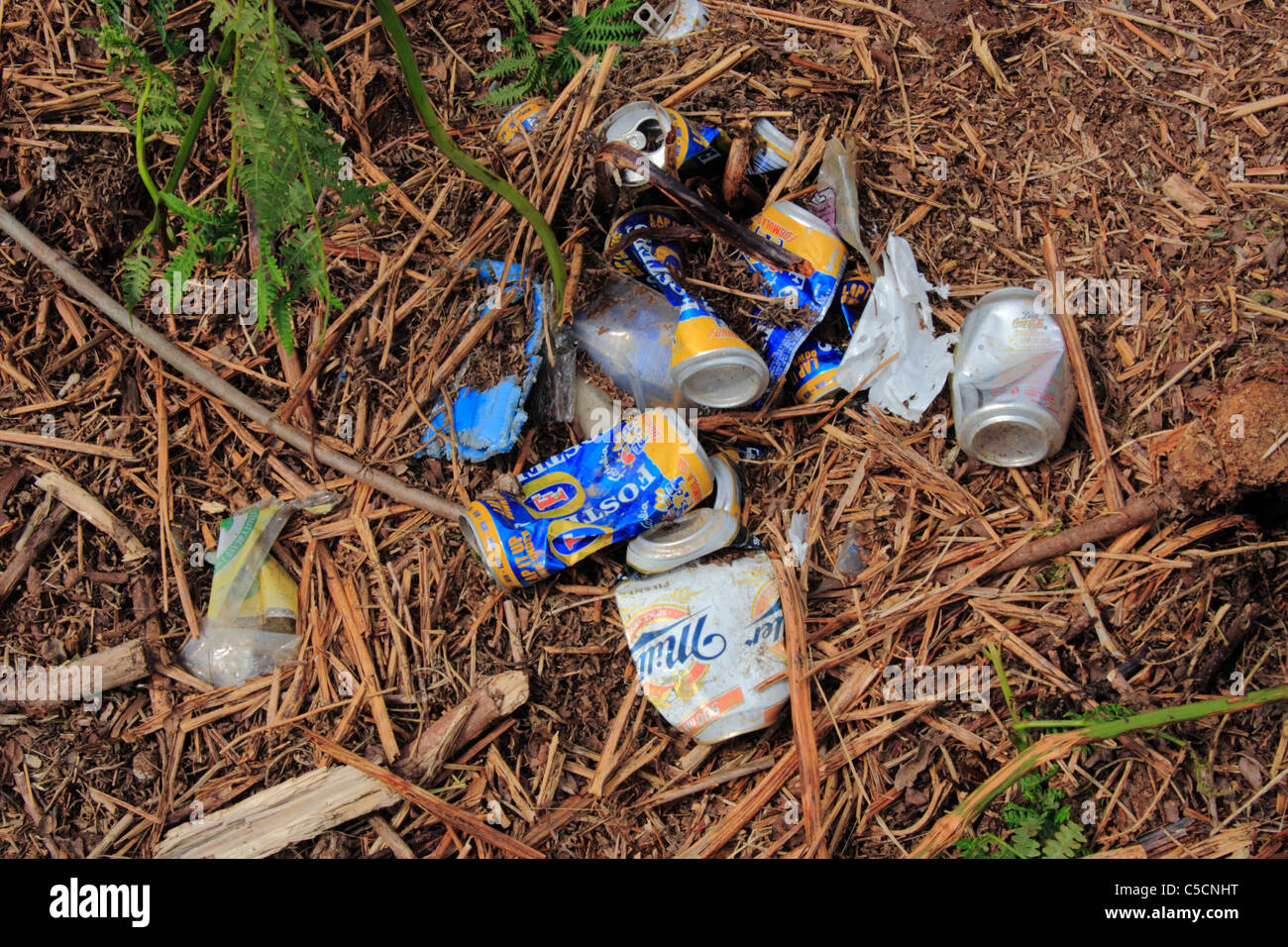 Litter dumped in countryside, Scotland Stock Photo - Alamy