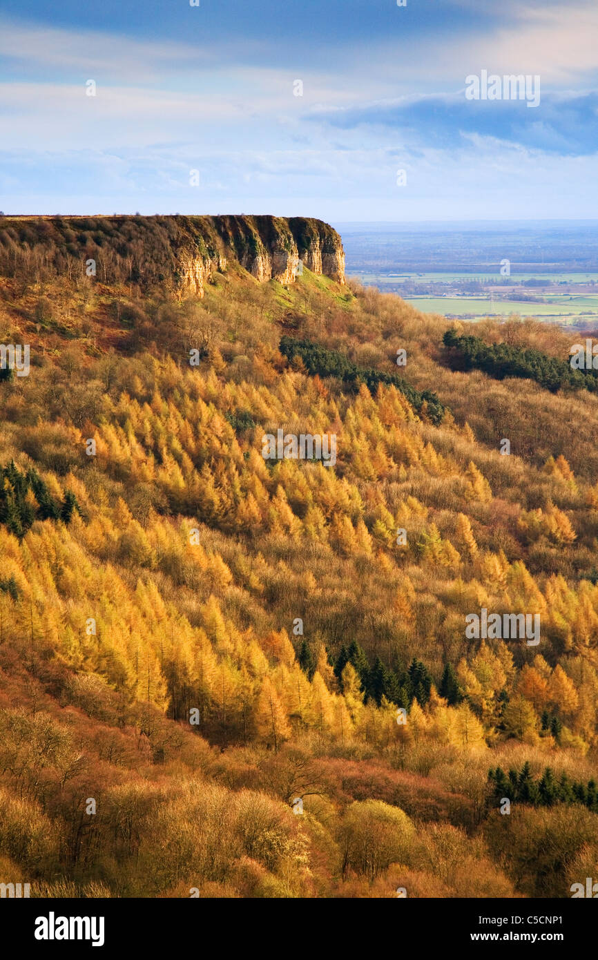 View towards Roulston Scar from Sutton Bank Sutton under ...