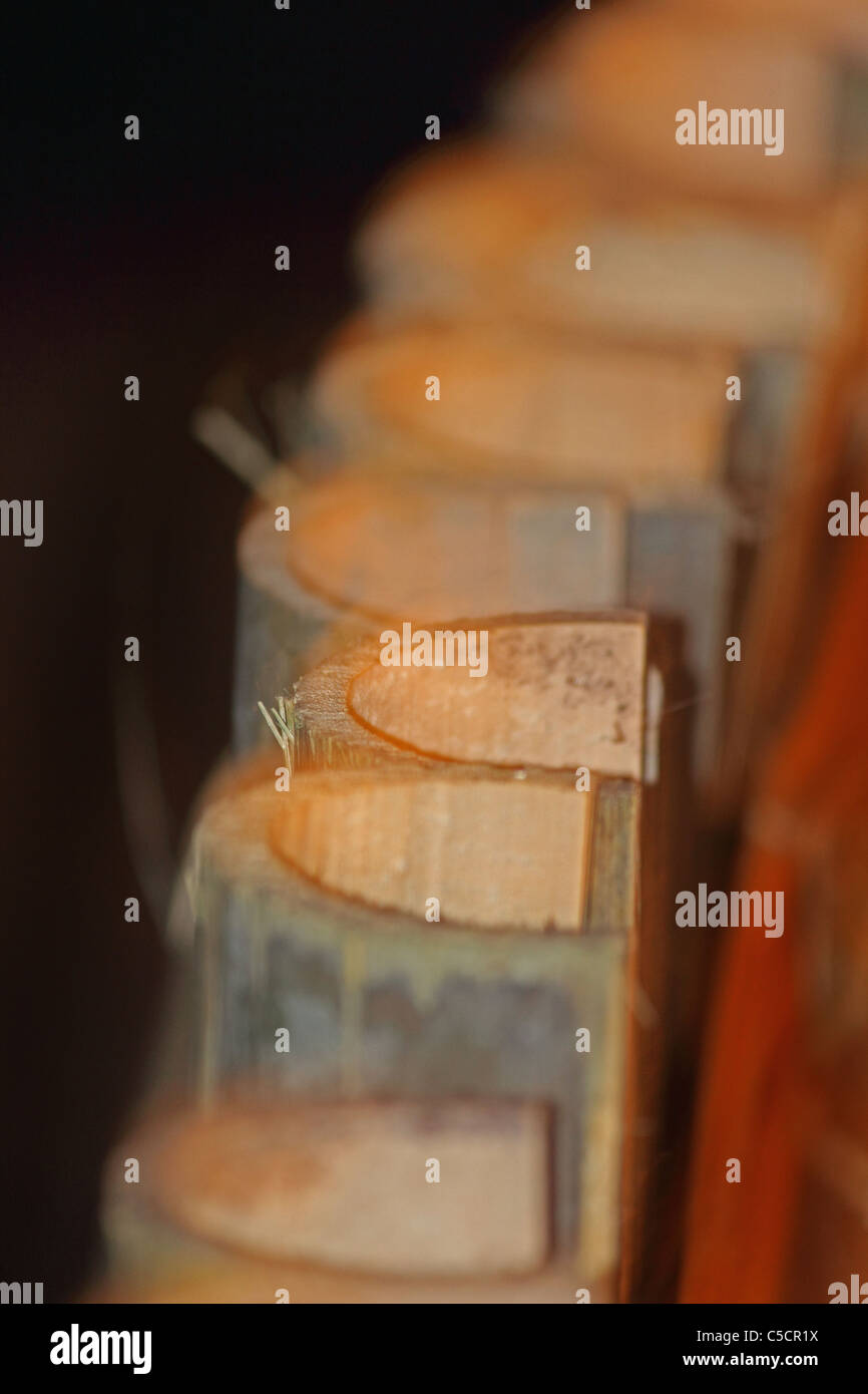 Bamboo Section, Half Cut, India Stock Photo - Alamy