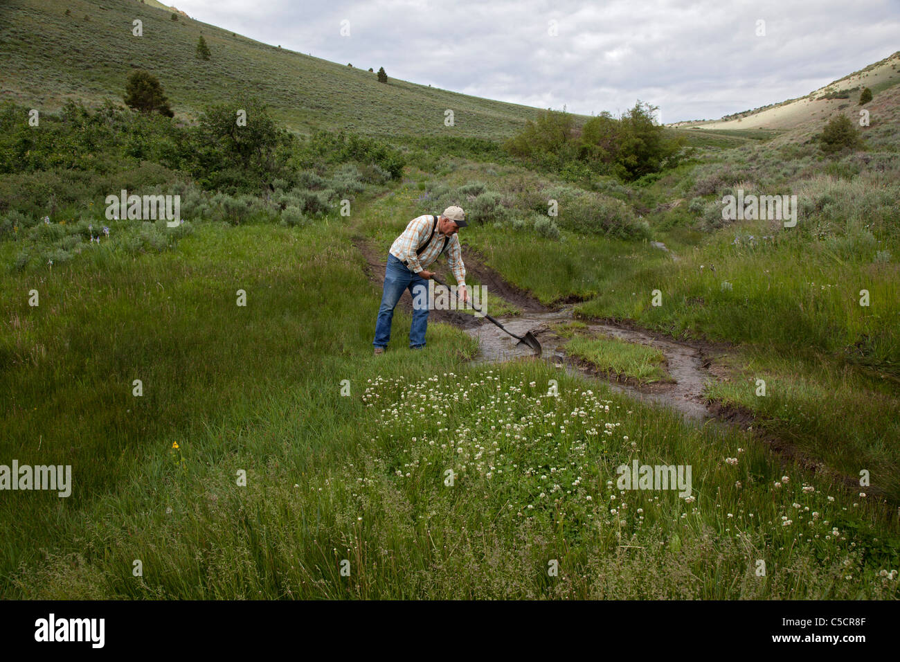 Nevada Sheep Ranch Stock Photo - Alamy