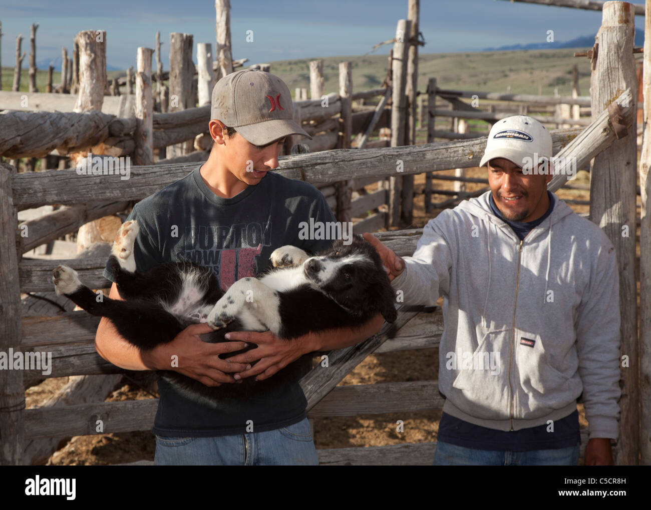 Nevada Sheep Ranch Stock Photo - Alamy
