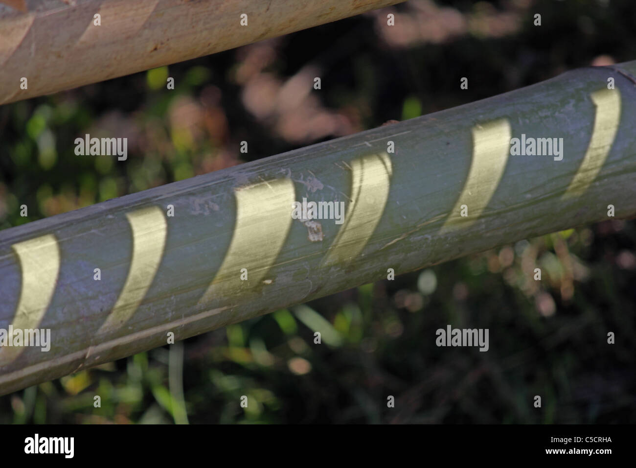 Bamboo Section, Half Cut, India Stock Photo - Alamy