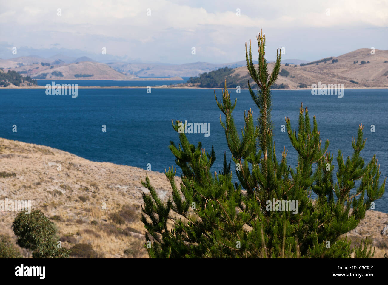 A view of Lake Titicaca from Suasi, the only private island on the Lake ...