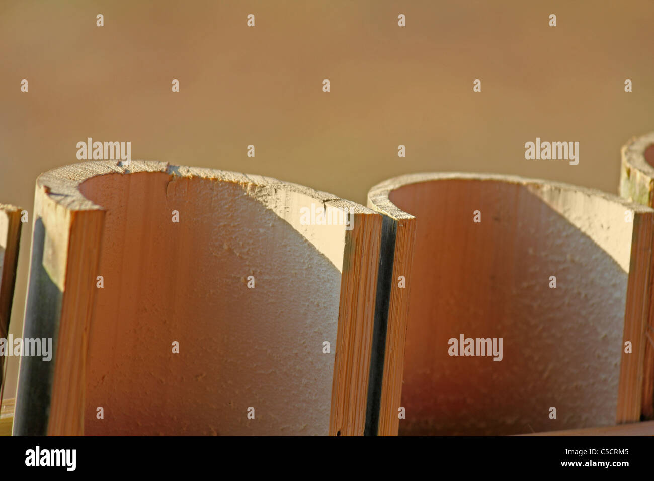 Bamboo Section, Half Cut, India Stock Photo - Alamy