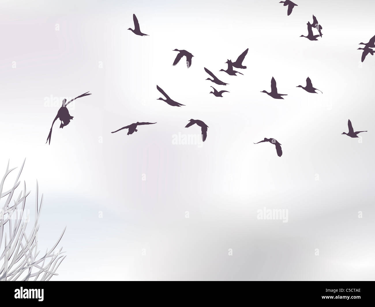 winter skyscape with mallards Stock Photo - Alamy
