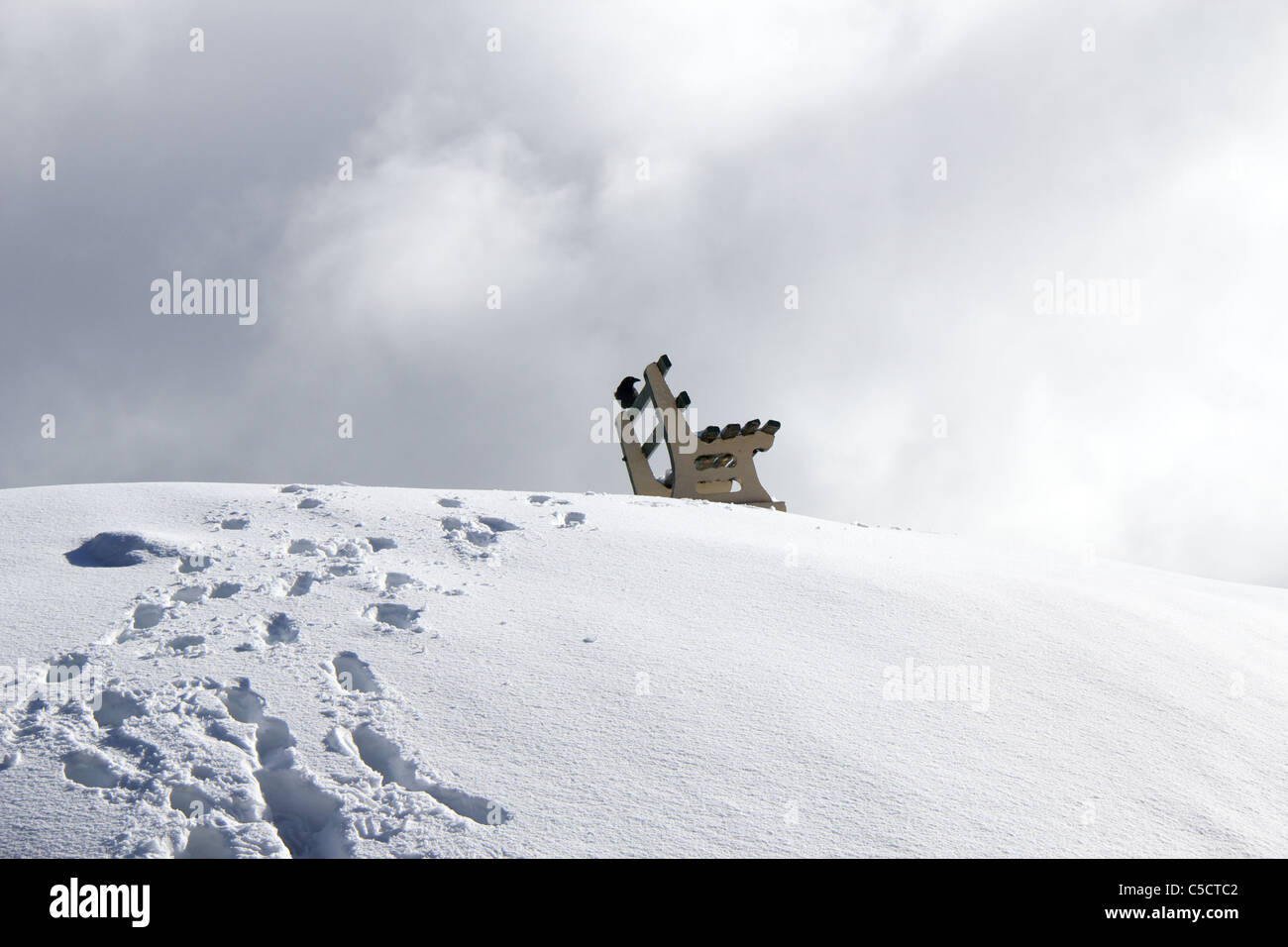 Bird footprints in snow hi-res stock photography and images - Alamy