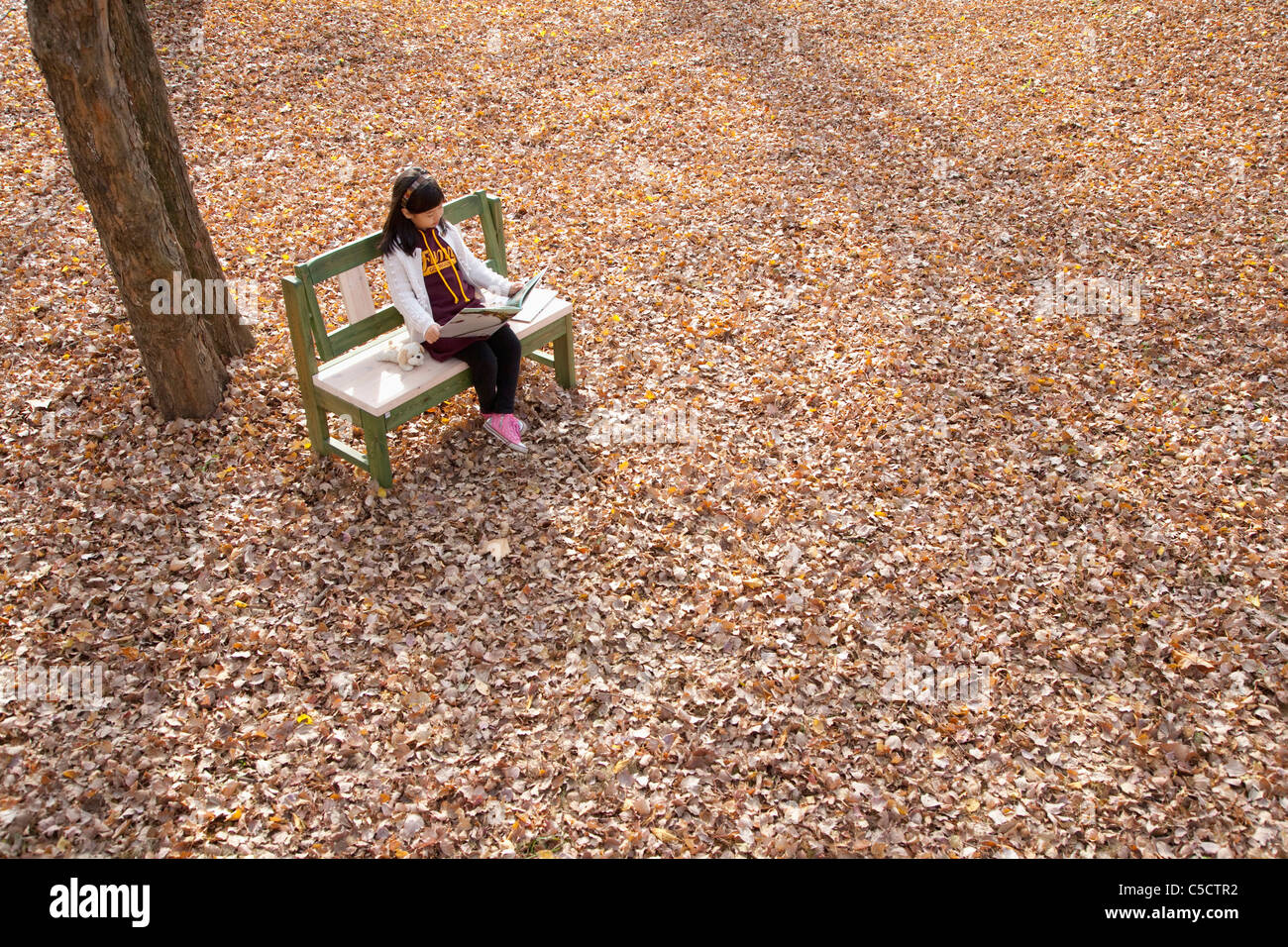 a girl reading a book sitting on bench Stock Photo - Alamy