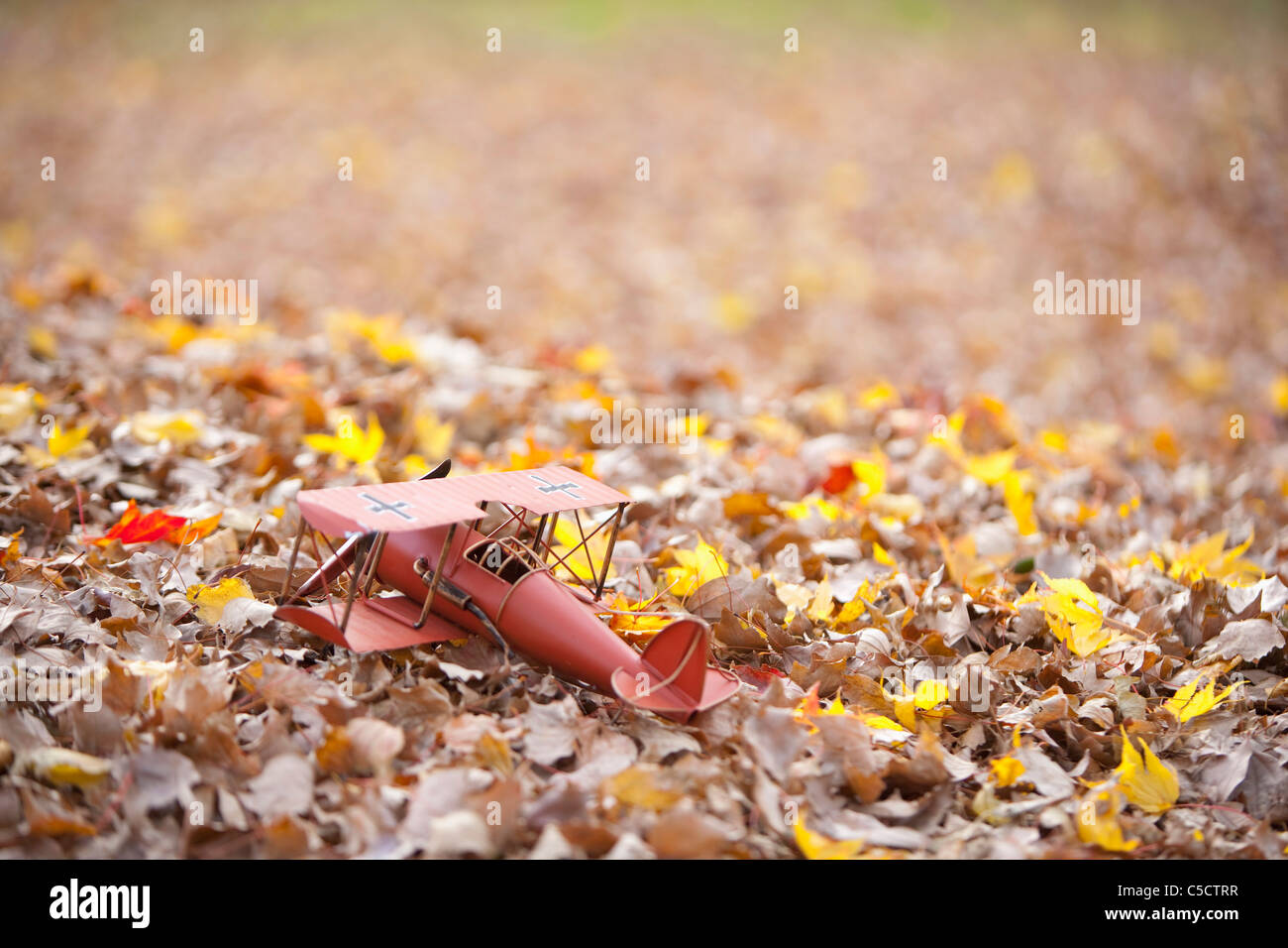 craft airplane on the fallen leaves Stock Photo - Alamy