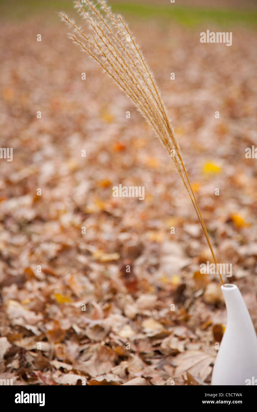 Vase shoulder hi-res stock photography and images - Alamy