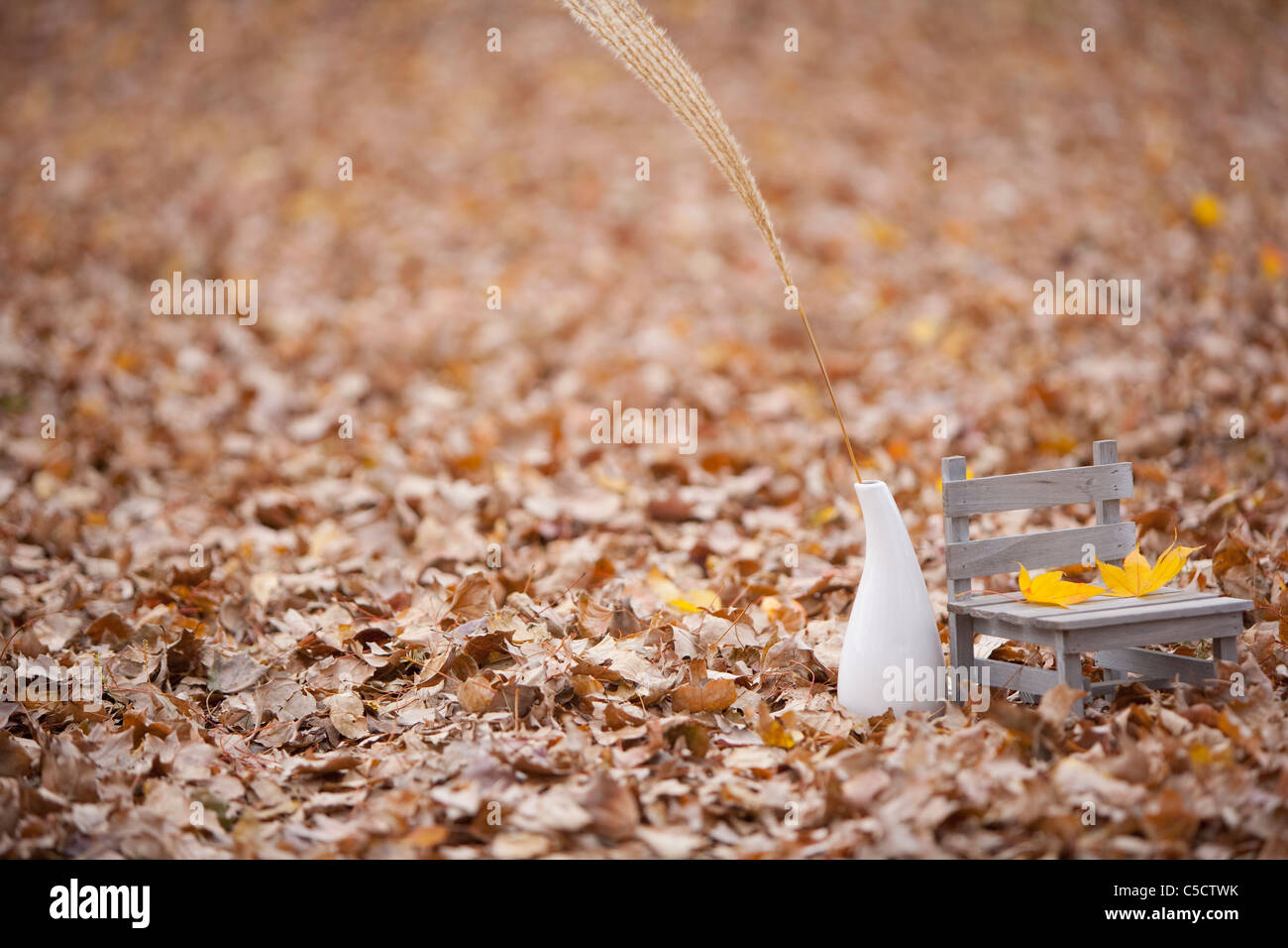 Reed n hi-res stock photography and images - Alamy