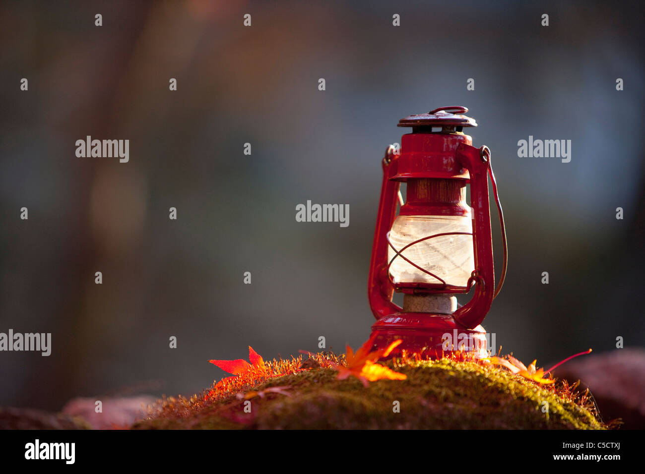 lamp on fallen leaves Stock Photo - Alamy