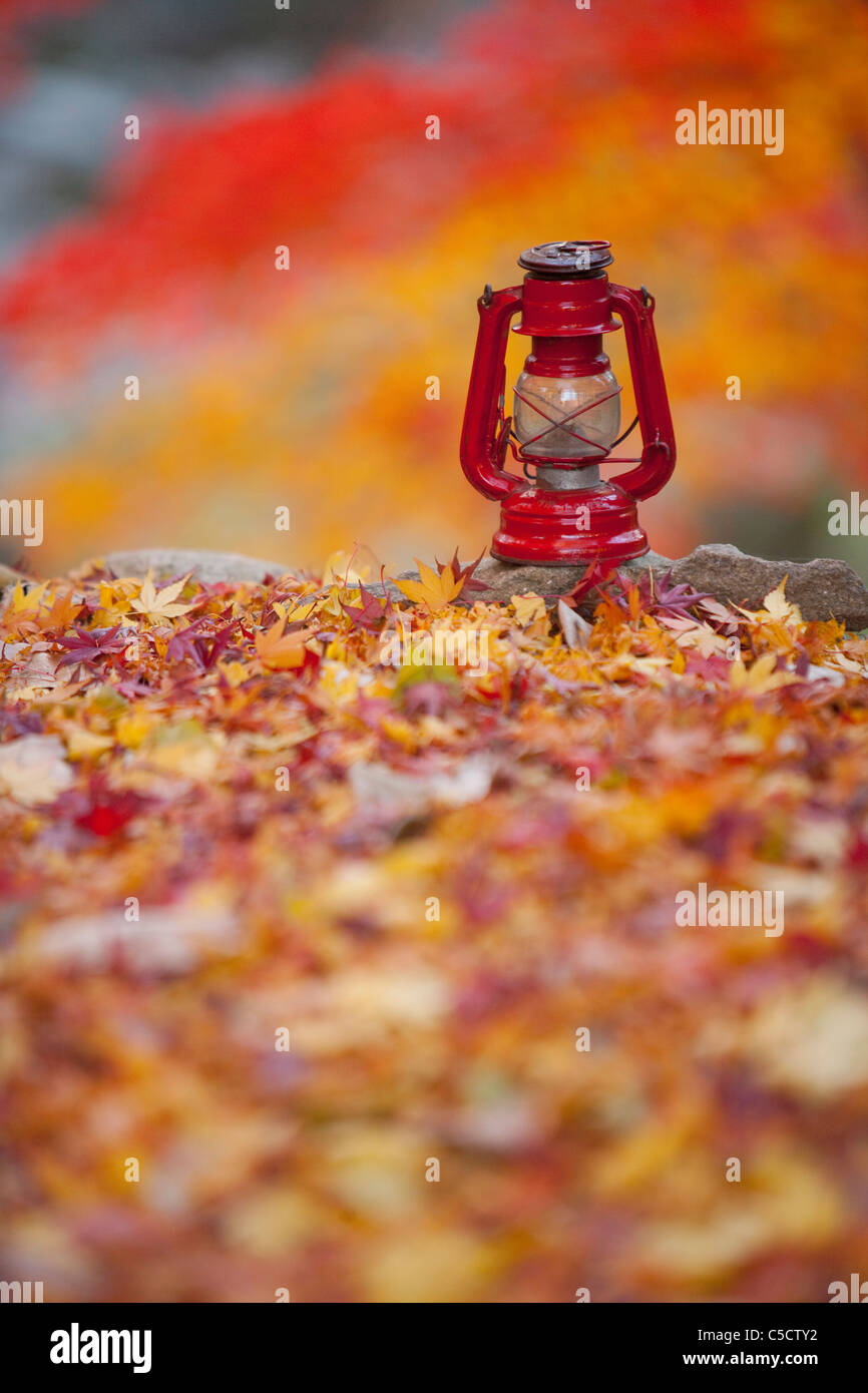 lamp on fallen leaves Stock Photo - Alamy