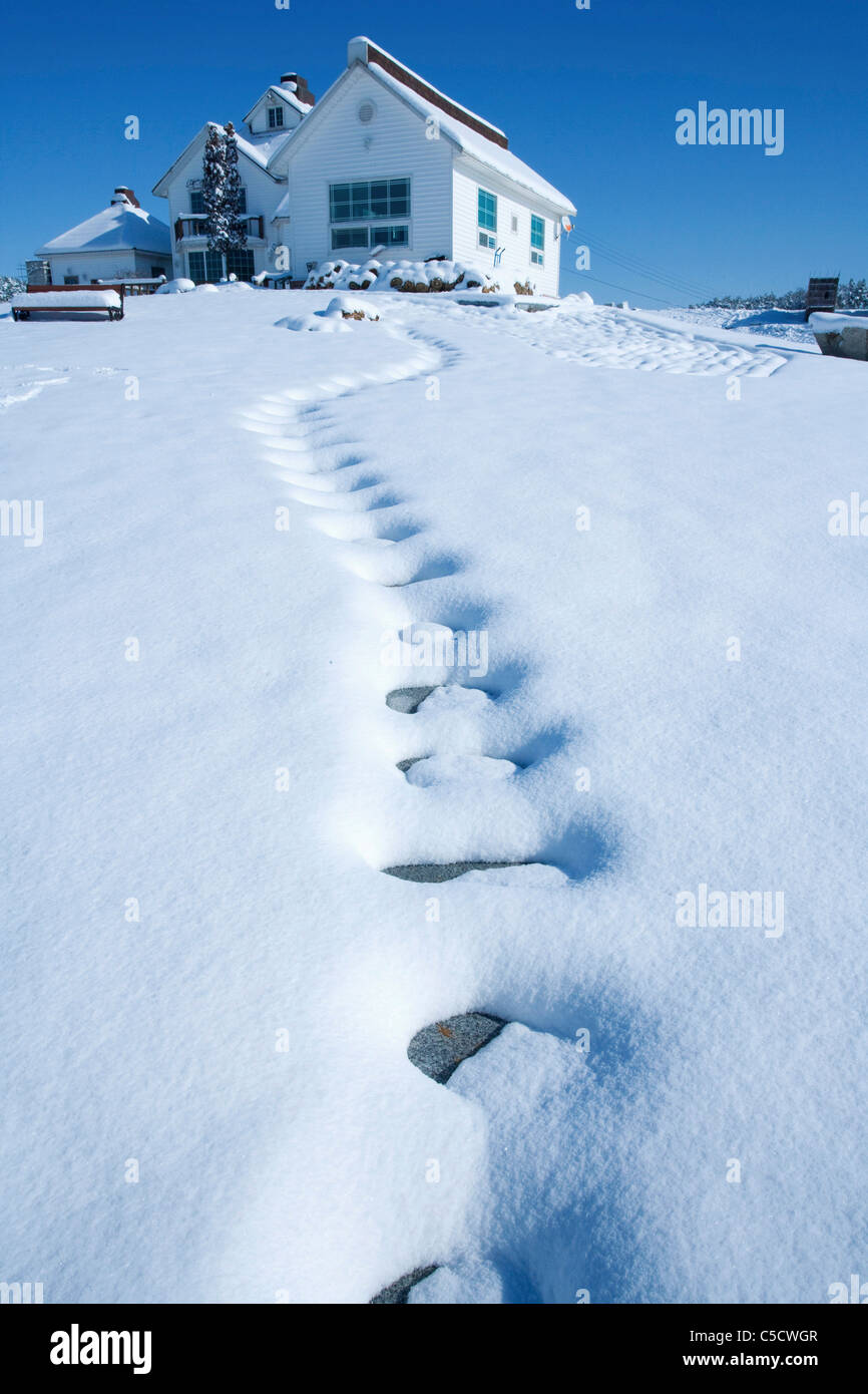 row of tracing on snow Stock Photo - Alamy