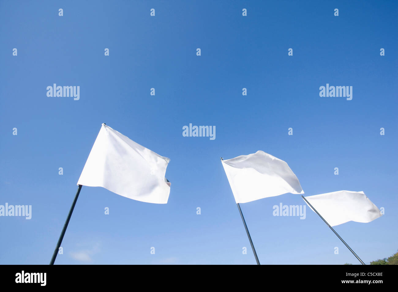 white flags blowing in the wind Stock Photo - Alamy
