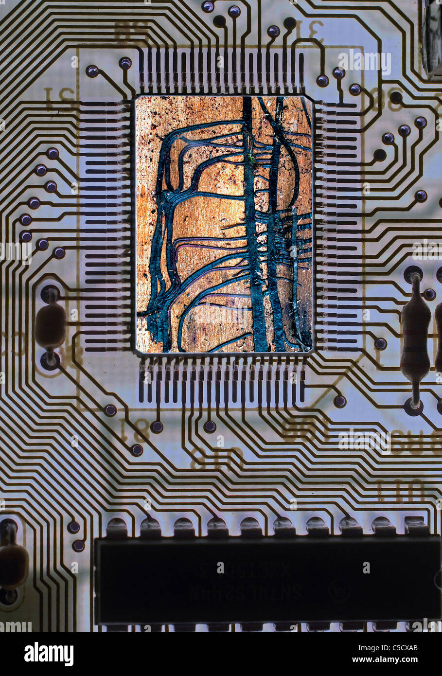 Modern Etchings High Resolution Stock Photography and Images - Alamy