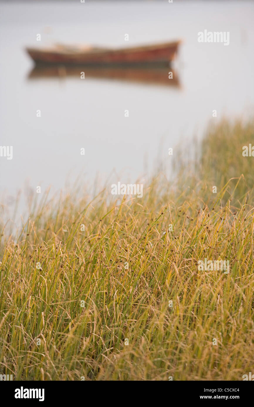 landscape of the grass and boat Stock Photo - Alamy