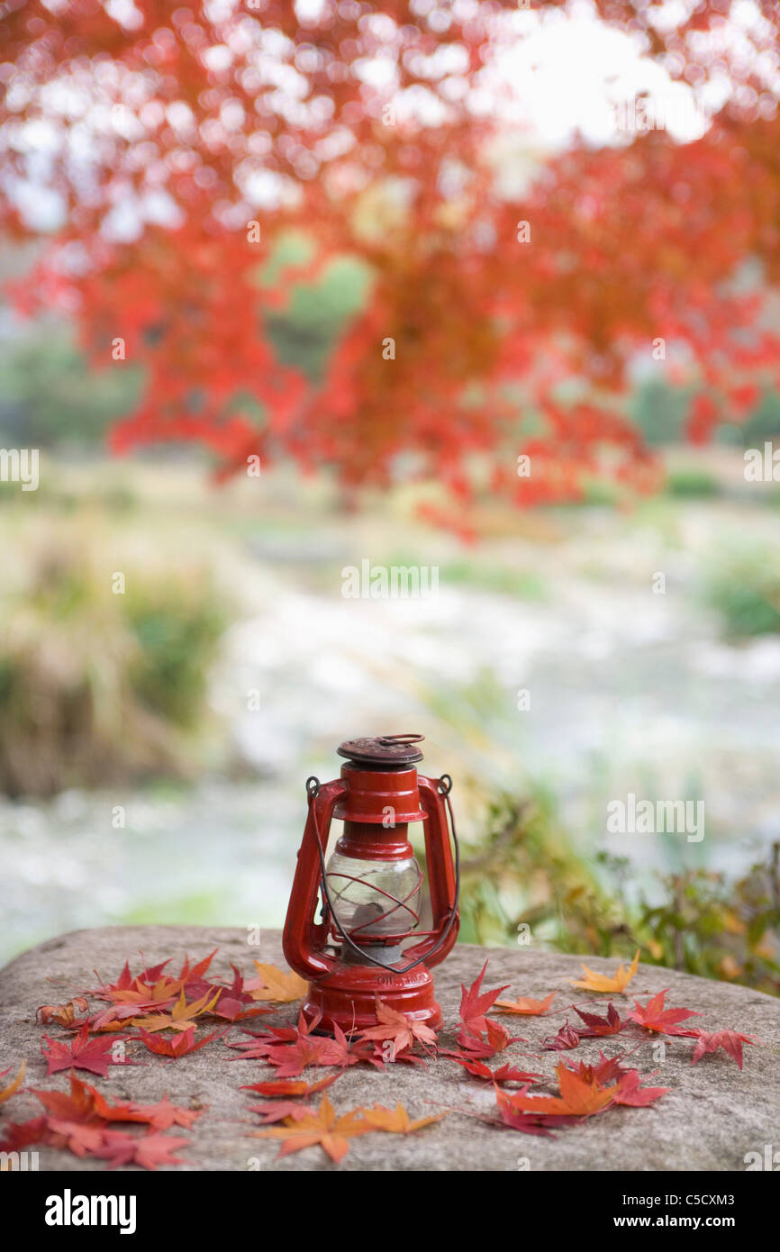 Back under tree hi-res stock photography and images - Alamy