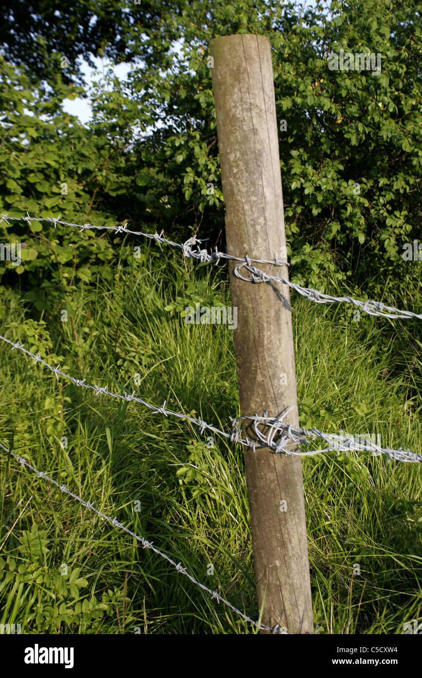 Barbed wire fence post hi-res stock photography and images - Alamy