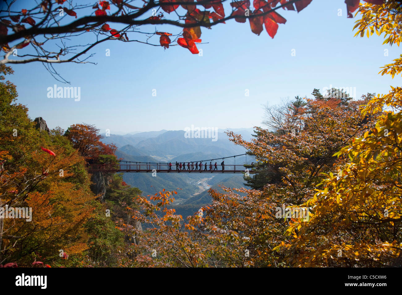 fallen leaves of autumn scape Stock Photo - Alamy