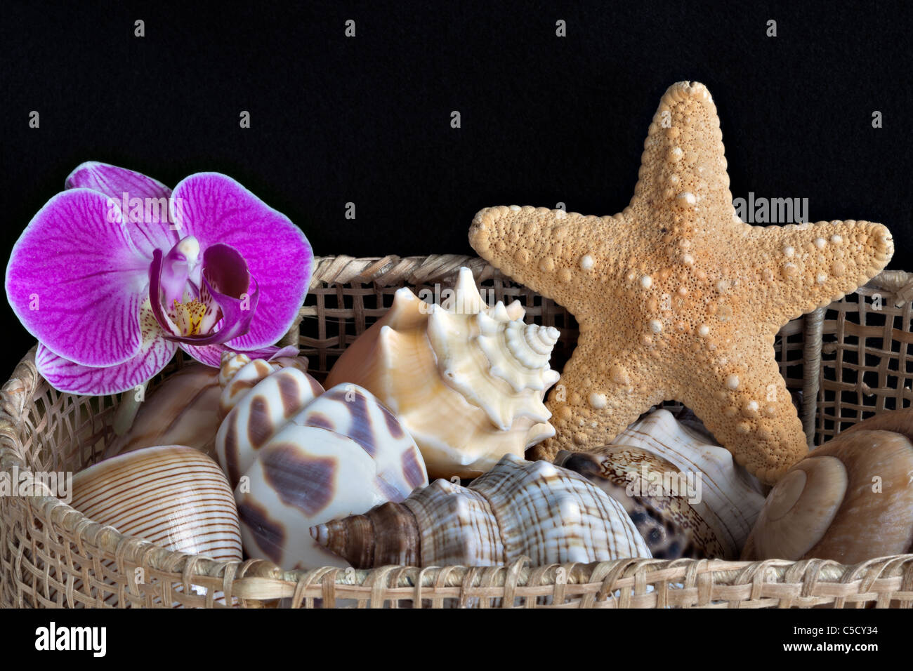 Orchid basket hi-res stock photography and images - Alamy