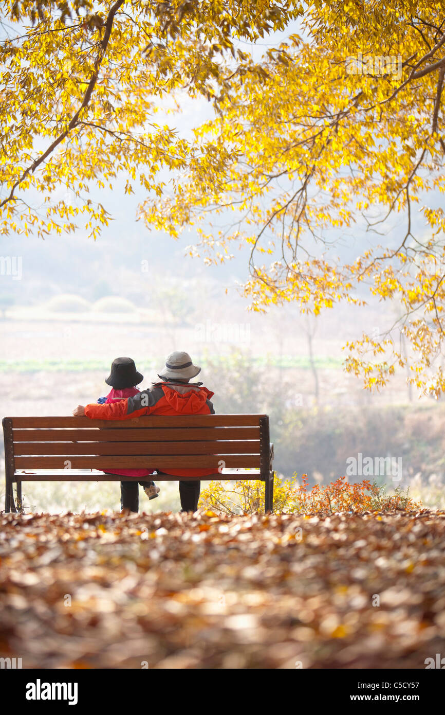 Bench with fallen tree behind it hi-res stock photography and images ...