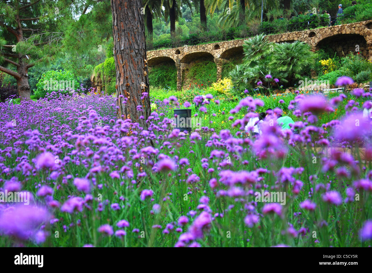 colorful gardens in Parc Guell Barcelona Spain Stock Photo - Alamy