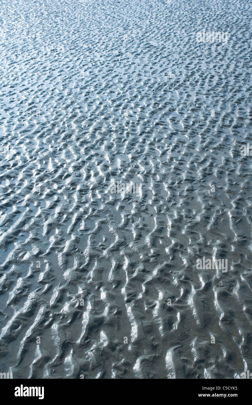 Mud field hi-res stock photography and images - Alamy