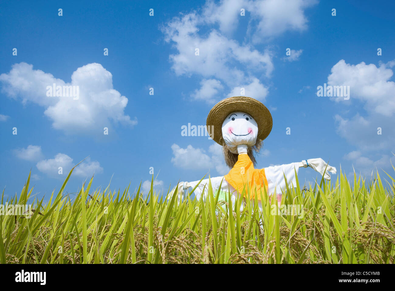 Scarecrow in rice field hi-res stock photography and images - Alamy