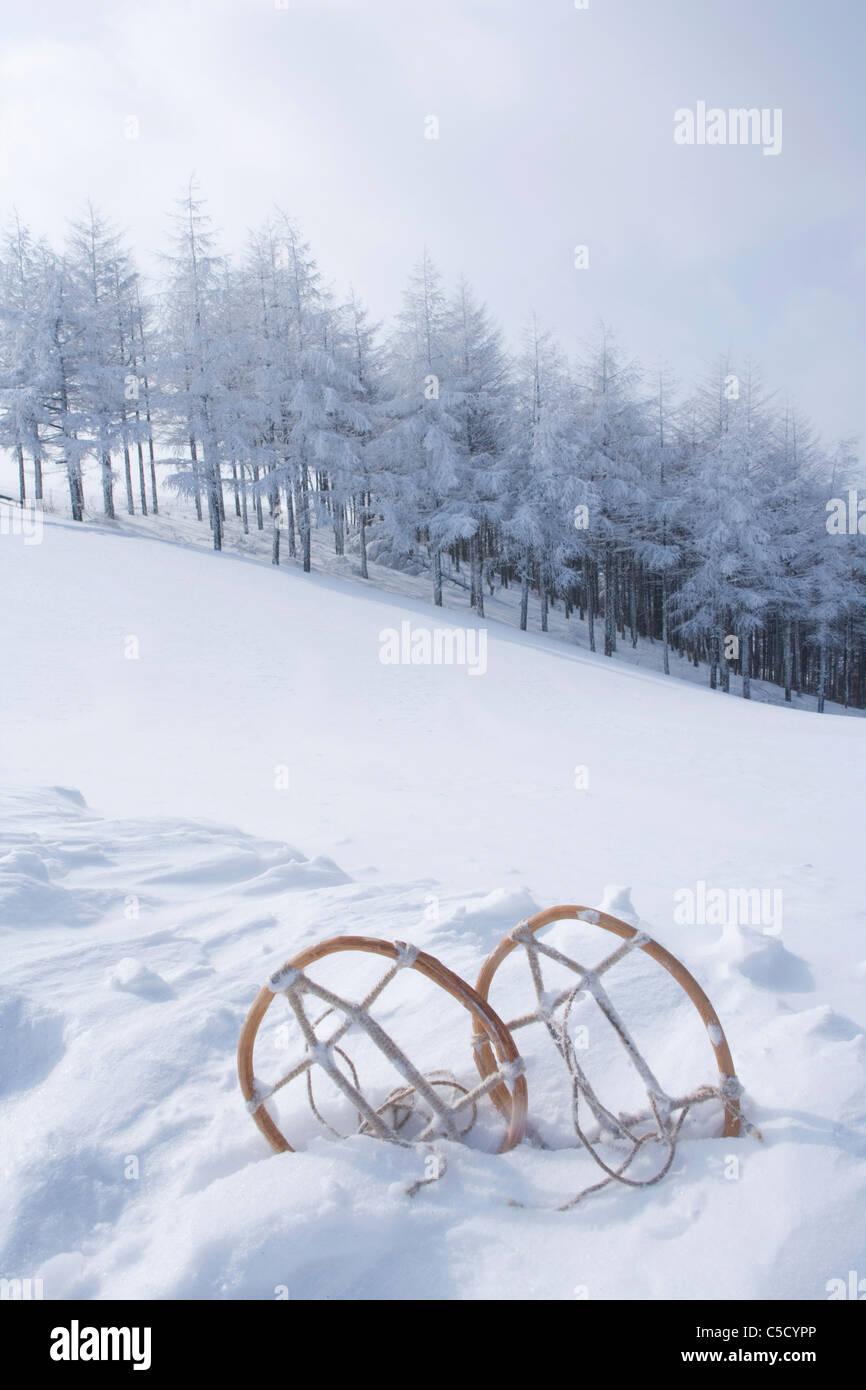 Snowshoes on snow hi-res stock photography and images - Alamy