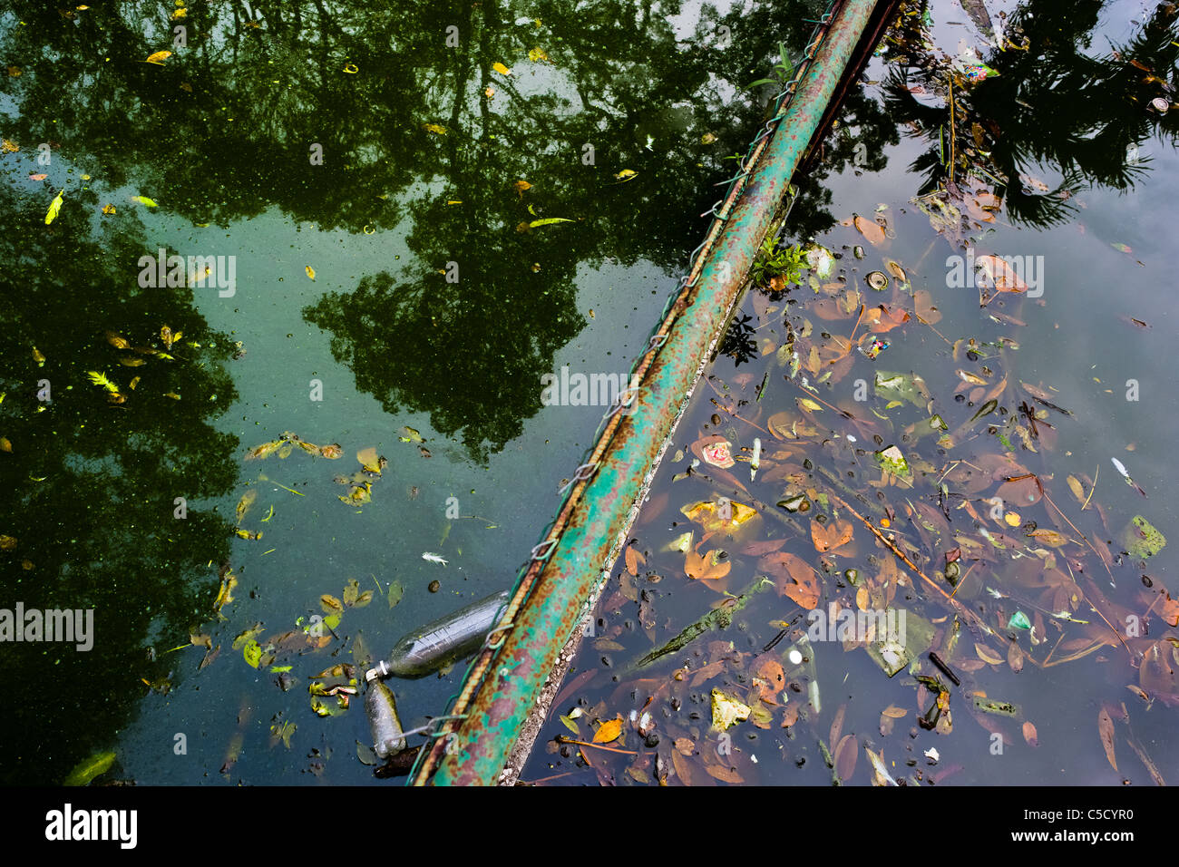 A polluted crocodile lagoon at the Havana Zoo, Havana, Cuba Stock Photo ...