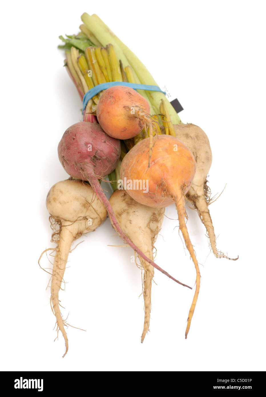 Beetroot coloured hi-res stock photography and images - Alamy