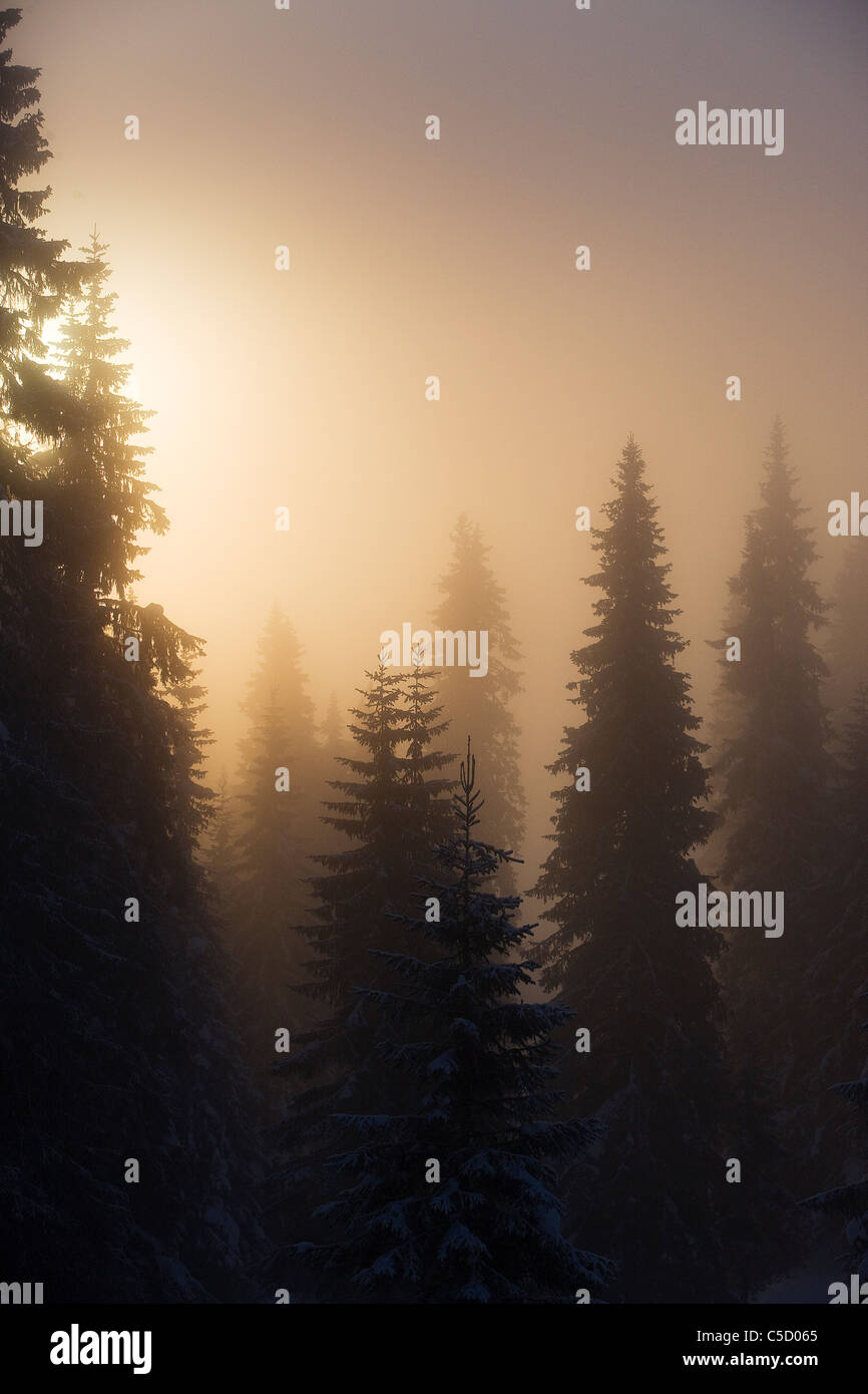 Sunshine scenic hi-res stock photography and images - Alamy