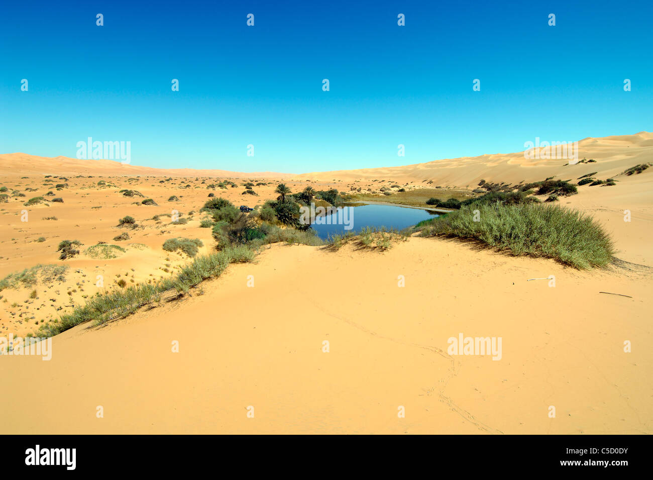 Oasis Sahara Desert Stock Photos & Oasis Sahara Desert Stock Images - Alamy