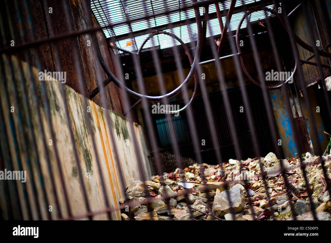An empty concrete cage with rusted bars in the monkey area of the ...