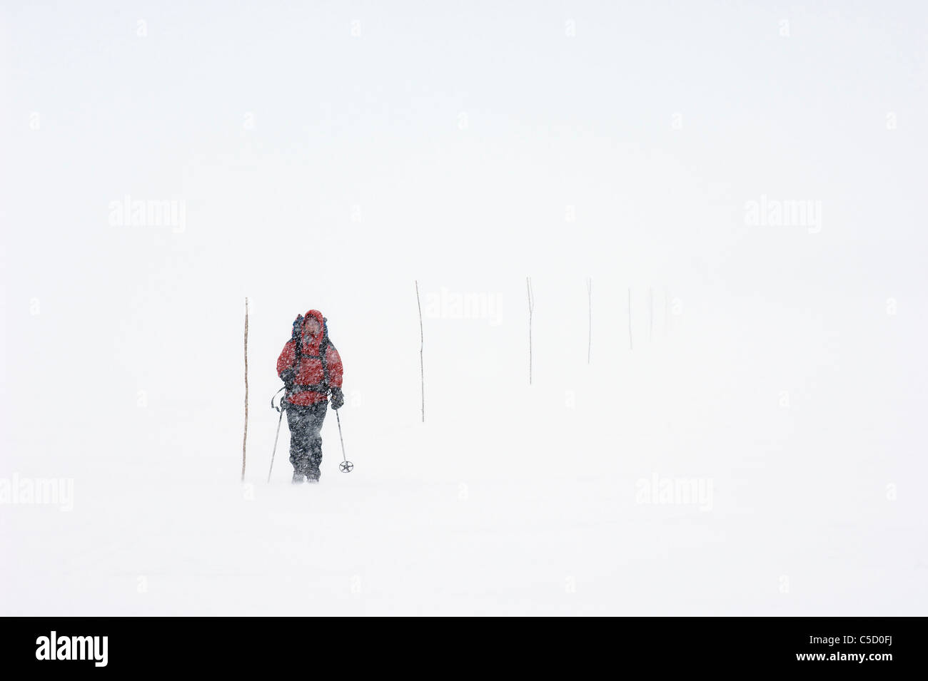 Windy blizzard of a day hi-res stock photography and images - Alamy