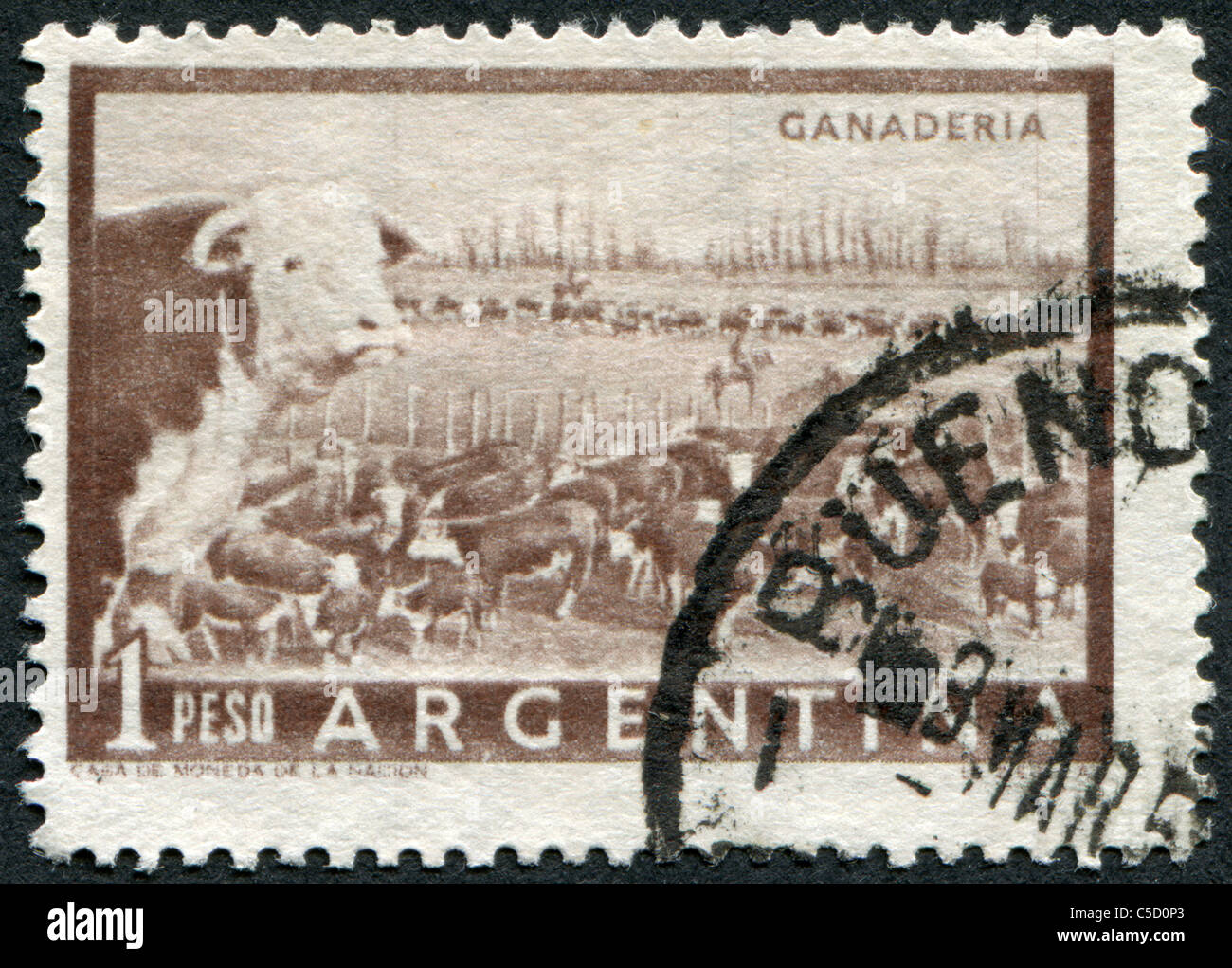 ARGENTINA - 1958: A stamp printed in the Argentina, depicts Cattle ...