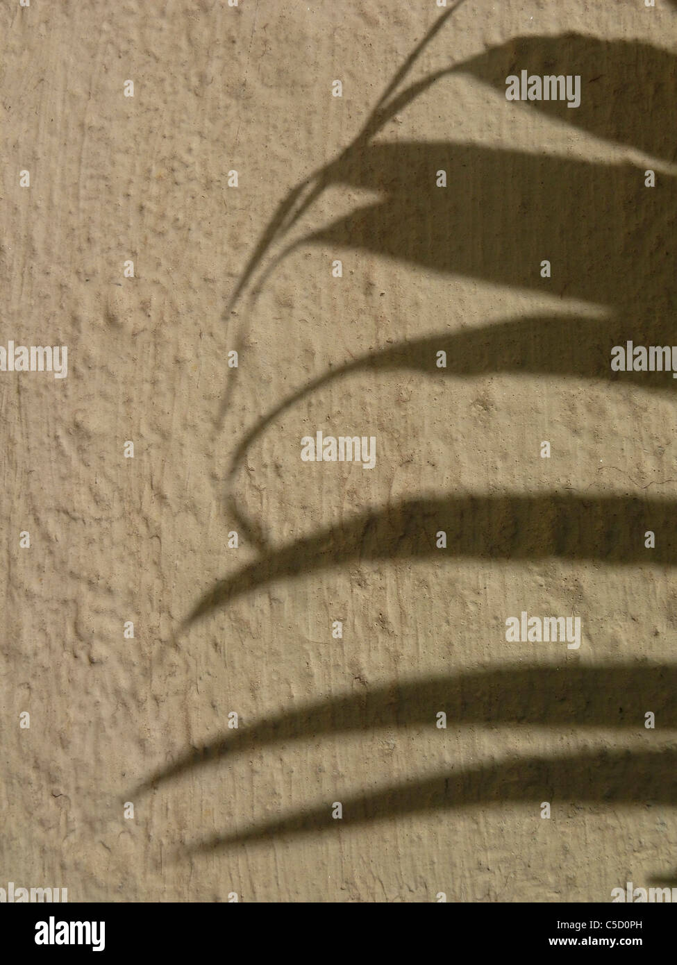 Shadow of a plant leaves Stock Photo - Alamy