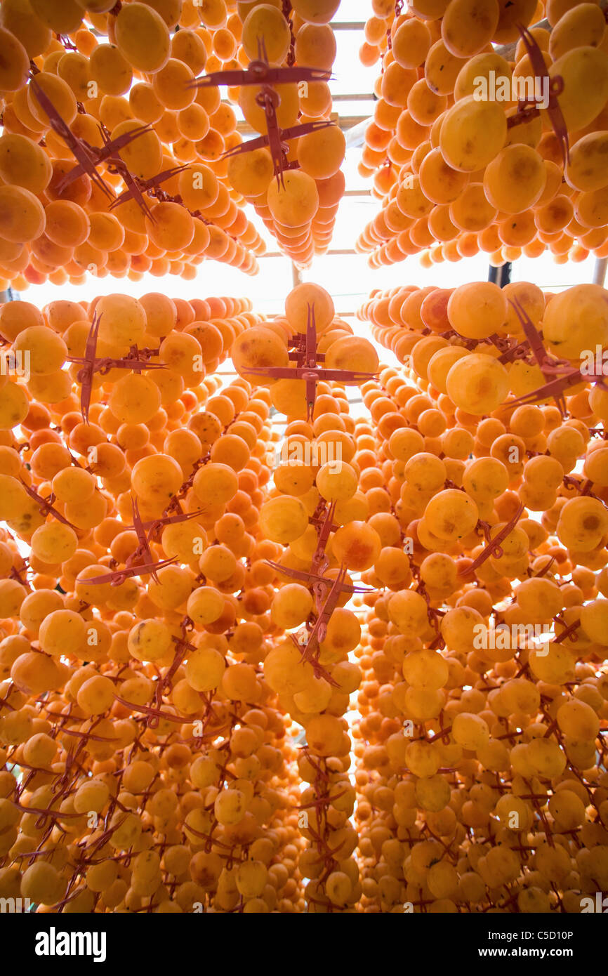 Drying persimmons hi-res stock photography and images - Alamy